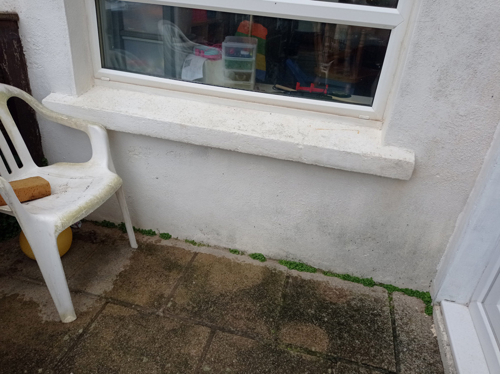 Tackling Damp & Mould | Nova Surveyors